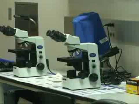Students and Staff At CSU Vet Center Exposed to Plague