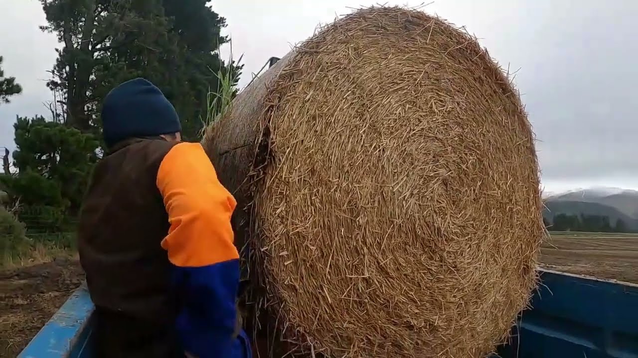 Meme Farming Adventure EP1