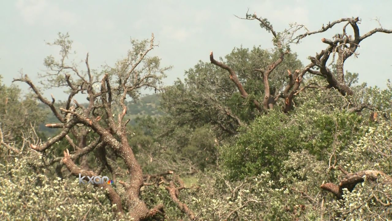 EF-1 tornado hit Monday west of Cedar Creek in Bastrop Co.