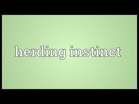 Herding instinct Meaning