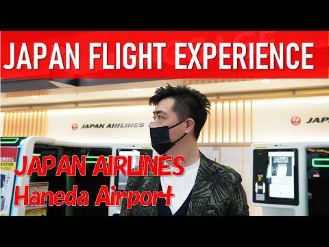 JAPAN Travel Guide / Virtual Airplane Ride / Japan AIrlines / from Haneda airport to Okinawa Naha