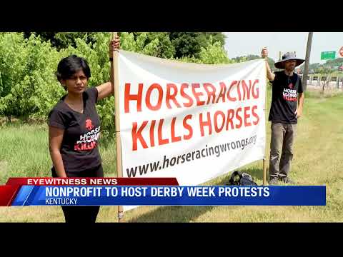 Protect Horses with Nationwide Advocacy Campaigns - GlobalGiving