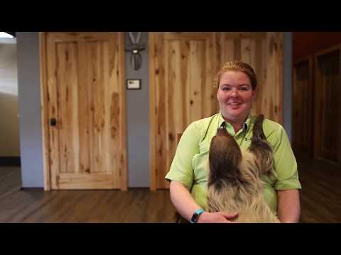 Living Treasures (Sloth Encounter)