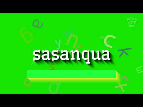 How to say "sasanqua"! (High Quality Voices)
