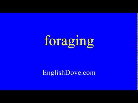 How to pronounce foraging in American English.