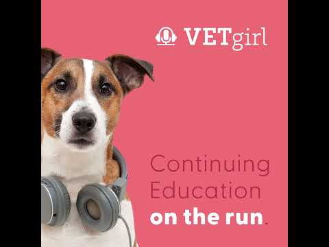 All You Need to Know About Traumatic Brain Injury in Dogs andamp; Cats | VETgirl Veterinary Conti...