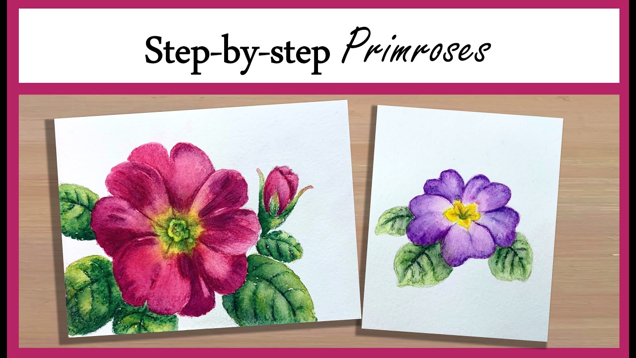 February Birth Flower 🌸 EASY Beginner & Intermediate Primroses in Watercolor Pencil.