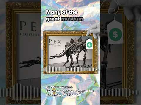 What The Private Sale Of Fossils Means For Paleontology