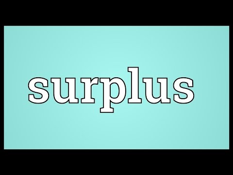 Surplus Meaning