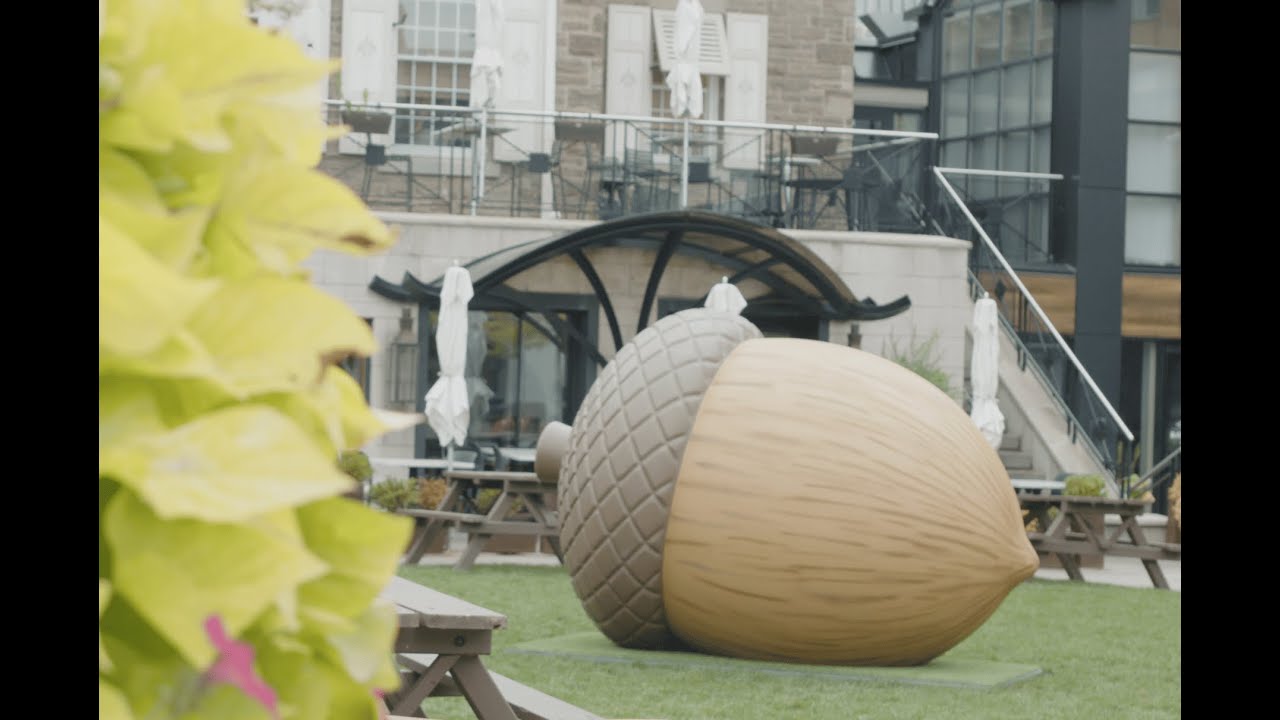 Canada’s Giant Acorn — A New Icon of Fall in Oakville 🌰✨