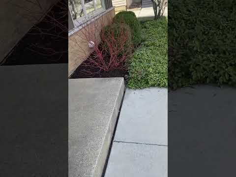 4/15/25! LANDSCAPING MILWAUKEE WISCONSIN