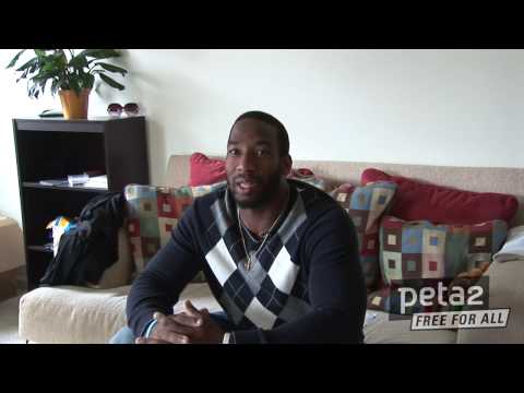 The Best Peta Ads for a better World – Die besten Peta-Stunts fuer eine ...