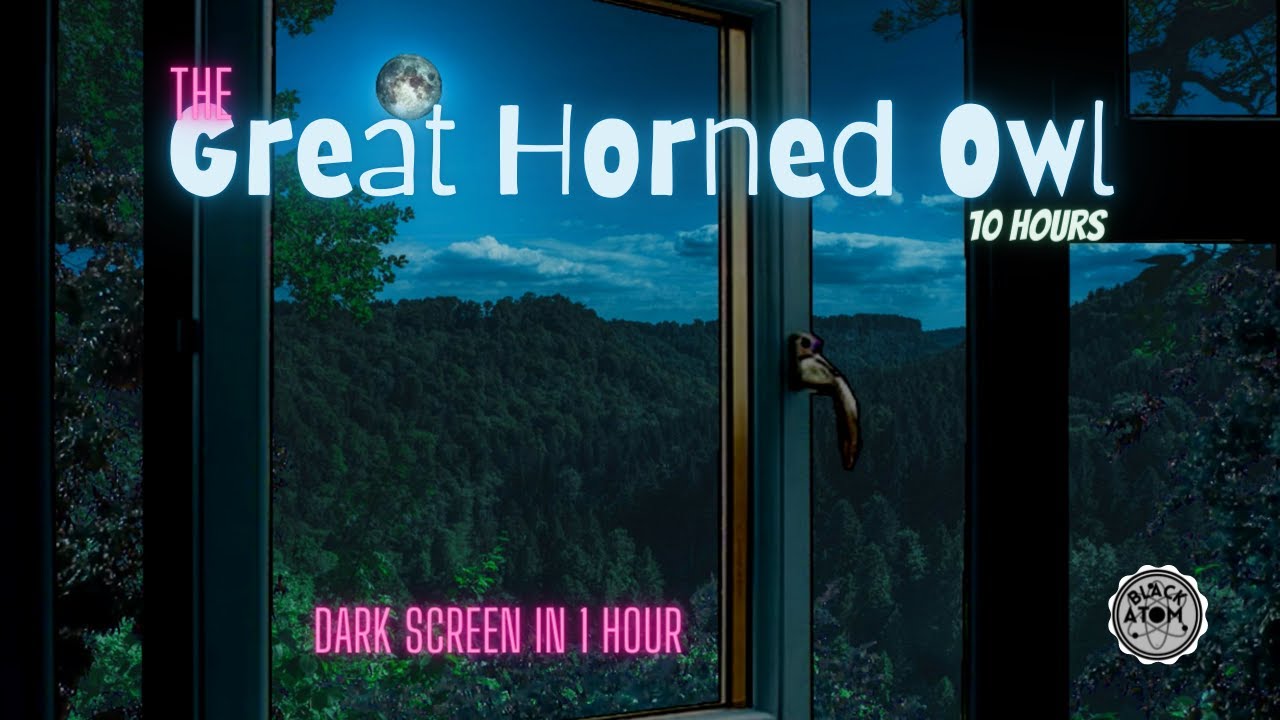 Sounds for Sleeping ⨀ The Great Horned Owl ⨀ 10 Hours ⨀ Dark Screen in 1 Hour