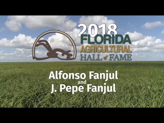 Fanjul family net worth explored as billionaire heir is arrested for ...