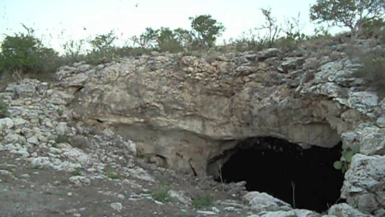 An introduction to radar image processing in ecology