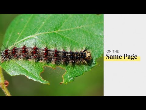 On The Same Page Ep. 544