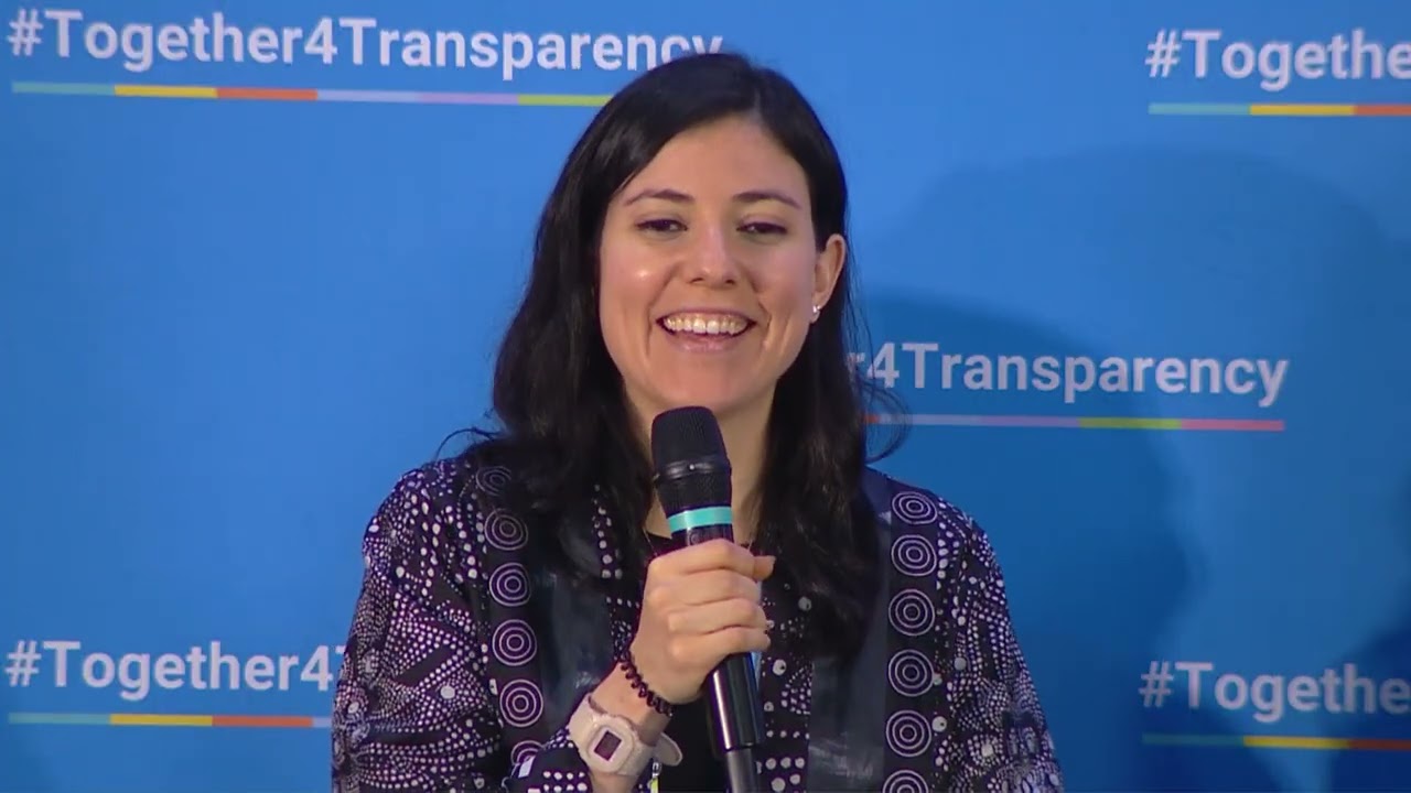 Understanding the UNFCCC Transparency Framework and the BTR Synthesis Report