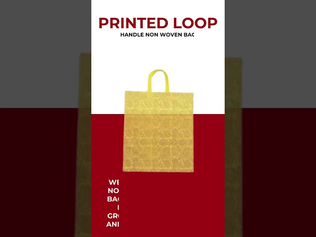 Paper Bag - Printed Loop Handle Non Woven Bag Manufacturer from Bhiwani