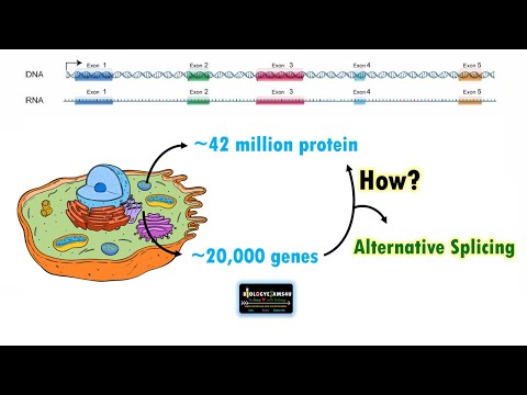7 Types of Alternative splicing in 6 minutes