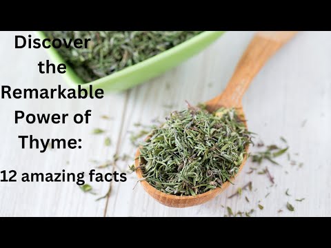 Discover the Remarkable Power of Thyme:12 amazing facts