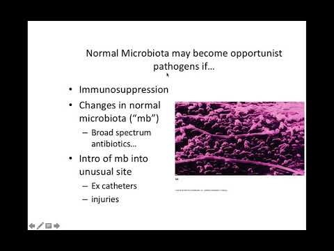 Medical Microbiology part 2 Epidemiology audi 4 29 20