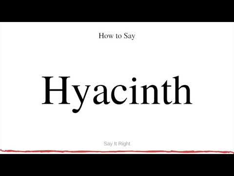 How to Say Hyacinth | Pronounce the Word "Hyacinth" Properly