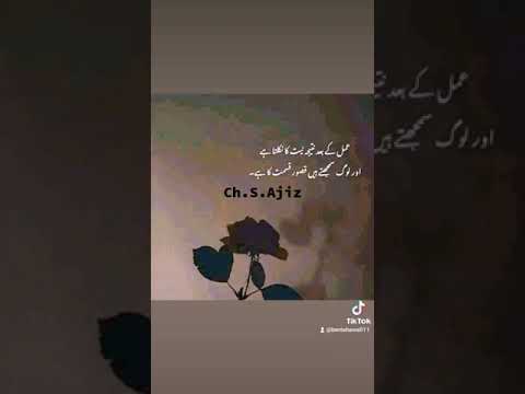 Bint e hawa motivation