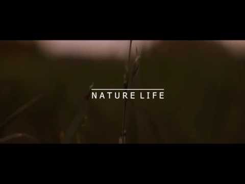 Nature life | Eric's Photography