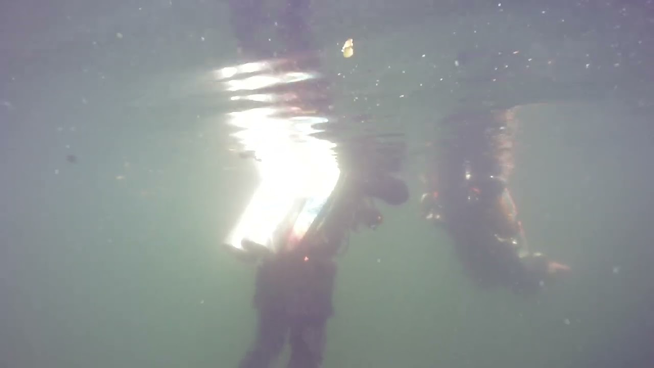NUSTEM-001