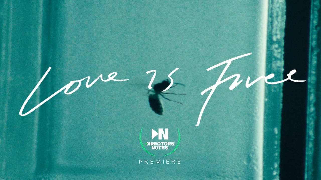 Love is Free // Official Trailer