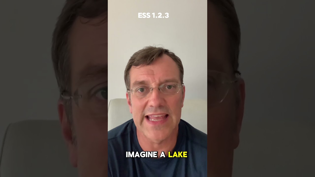 ESS 1.2.3 system diagrams #environmentalscience #ecosystems #ecology