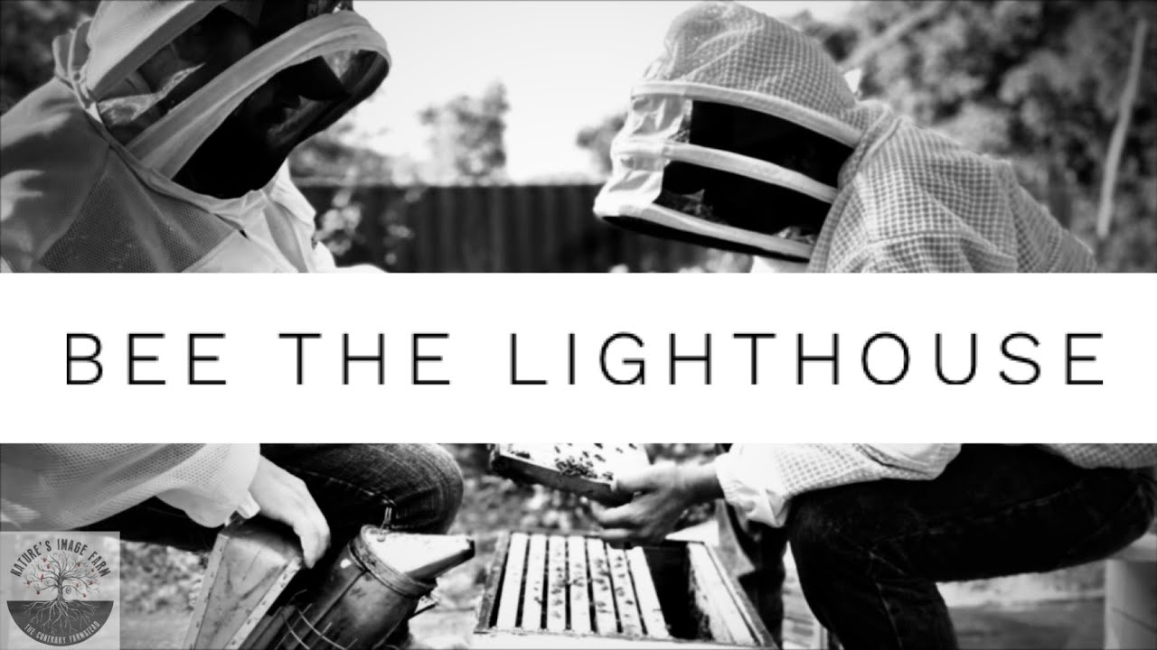 Bee The Lighthouse #beethelighthouse #communityhive