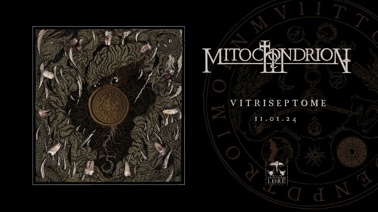 Newsflesh #35 (144) | Chaos Vault