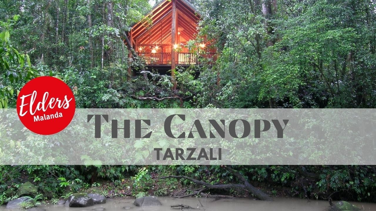 The Canopy, Tarzali - Elders Real Estate Malanda