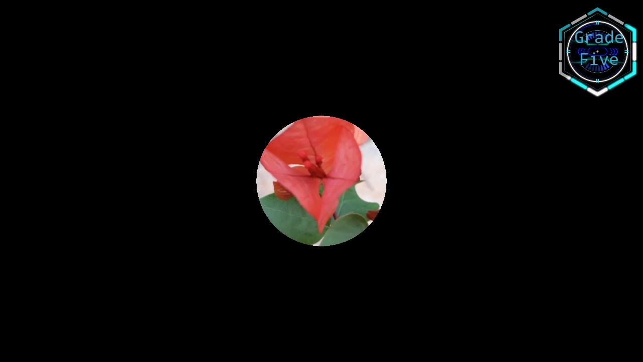 Membaca untuk menambah Ilmu (Iqro 