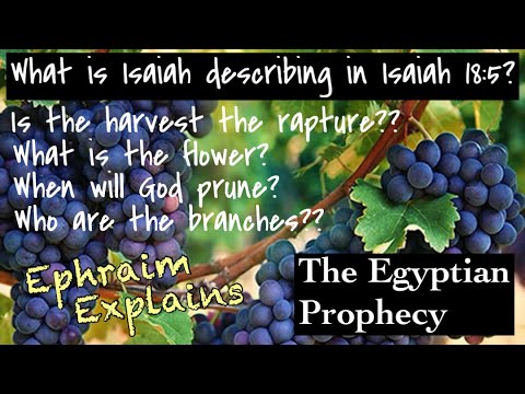 Isaiah 18:5