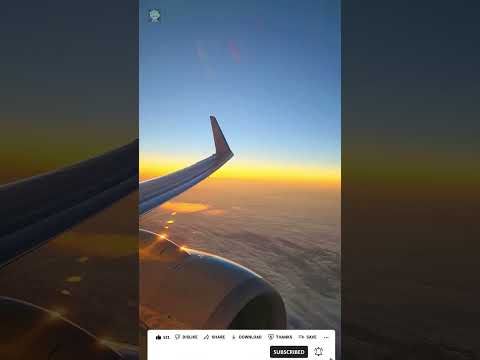 Airbus 319 Best Sunset Flight #shorts #Airbus #sunset