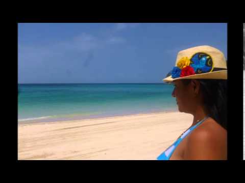 Contadora Island Ferry and Tours
