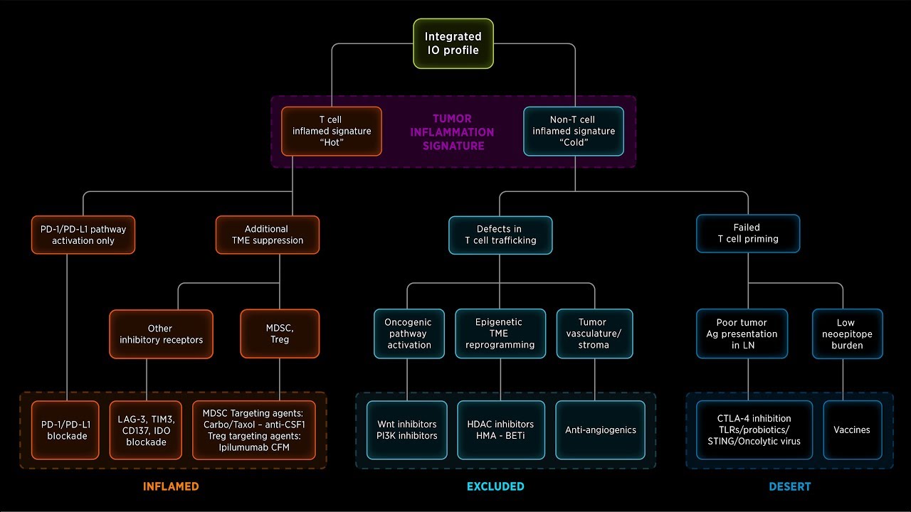 nCounter® PanCancer IO 360™ Panel | NanoString