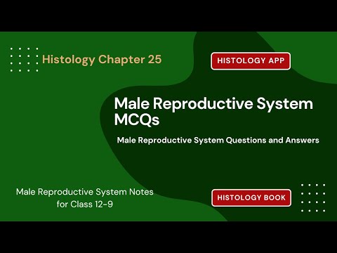 Male Reproductive System MCQ Question Answer | Reproductive System Class 12-9 MCQs | Ch 25 PDF Notes