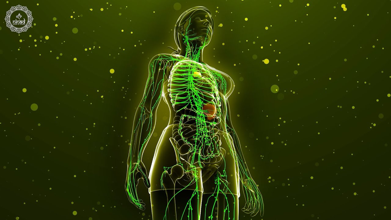 Lymphatic Drainage | Remove Waste & Toxins From The Body | Boost Immune System Overcome Inflammation