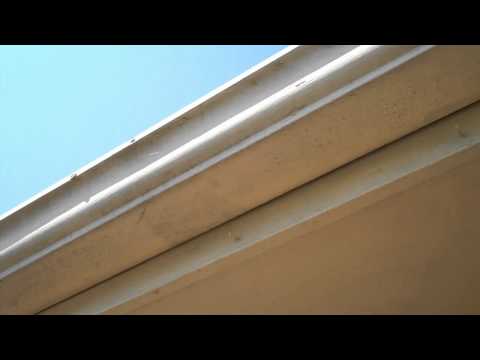 Exterior House Trim (Replacing Trim Molding Outside)