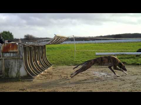 R is for … Racing – Lucy (Feltham) Leonelli