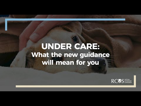 Under care: What the new guidance will mean for you