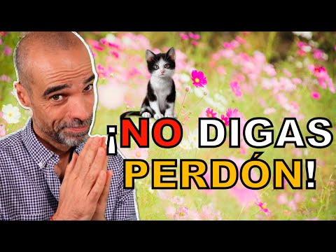 ❌NO DIGAS *LO SIENTO*🥺🙏🏼en español - (Beginners/in English)❌