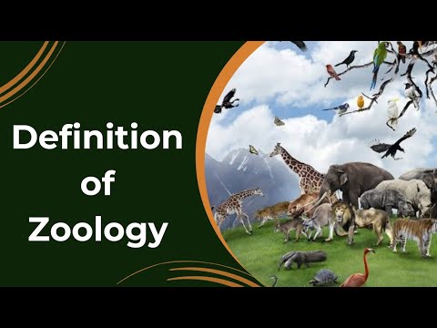 Definition of Zoology/Meaning of Zoology