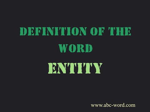 Definition of the word "Entity"