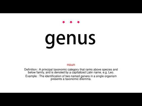 How to pronounce genus - Vocab Today