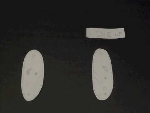 Conjugation in Paramecium