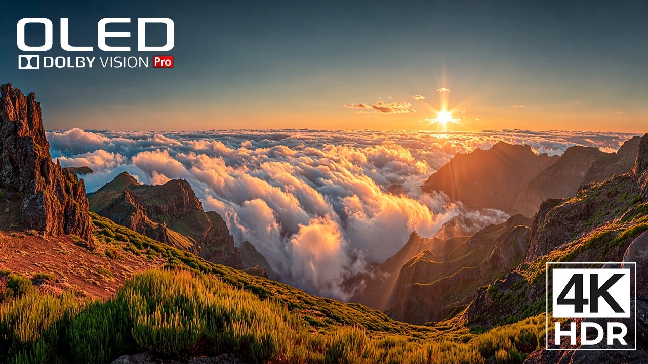 UNSEEN 4K HDR 60FPS | Dolby Vision OLED DEMO (8K / 4K TV)